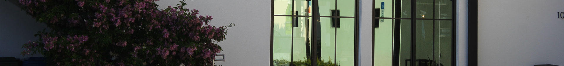 Patio Doors - Genesis Doors and Windows